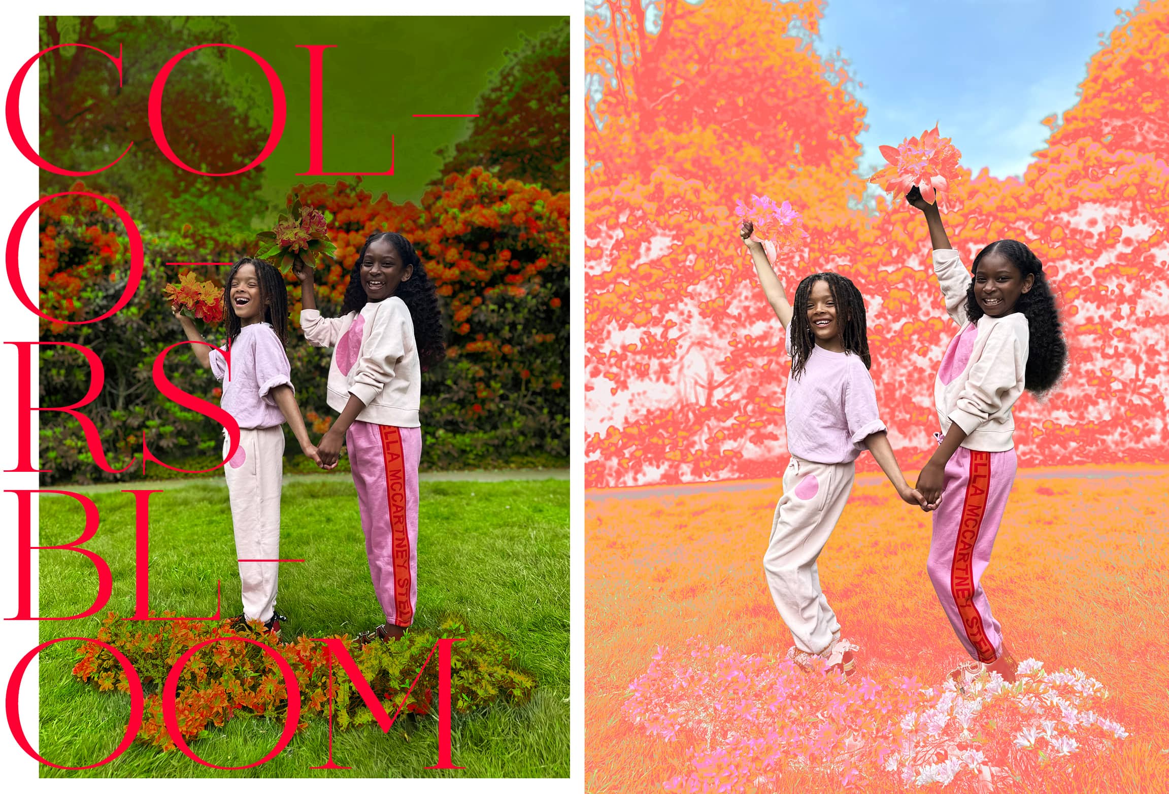 Scimparello | Editorials